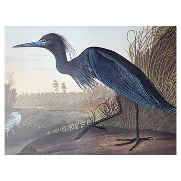 Blue Crane Princeton Print